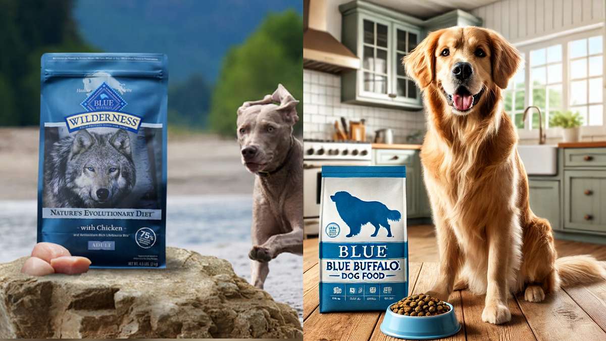 Is Blue Buffalo Good Dog Food? Find Out the Truth
